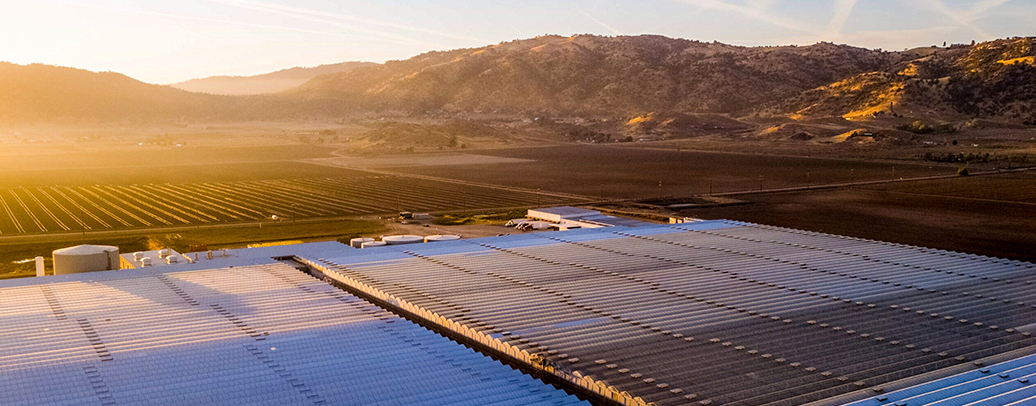 Mucci Farms Expands Westward with 32-Acre Greenhouse in California ...