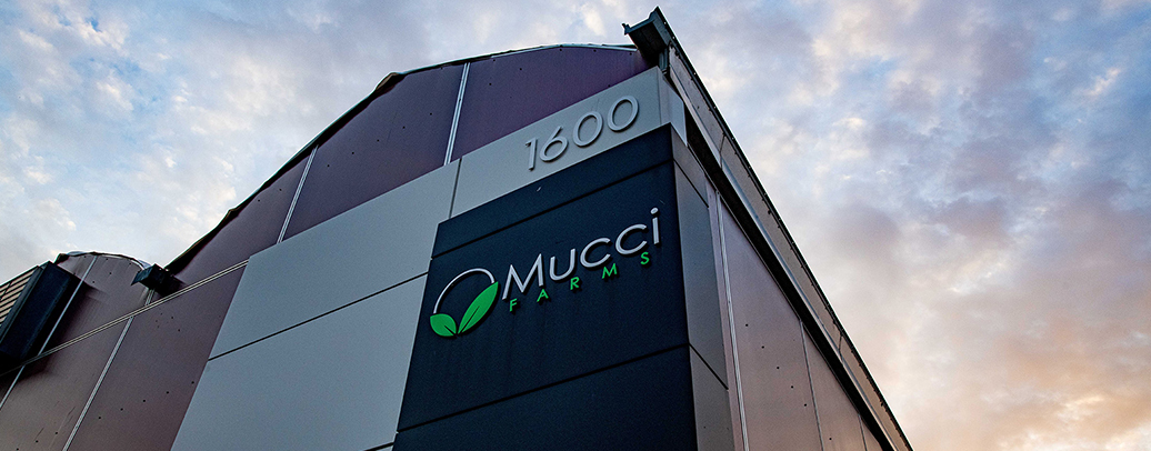 Mucci Farms Celebrates Multiple Awards for Talent and Packaging ...
